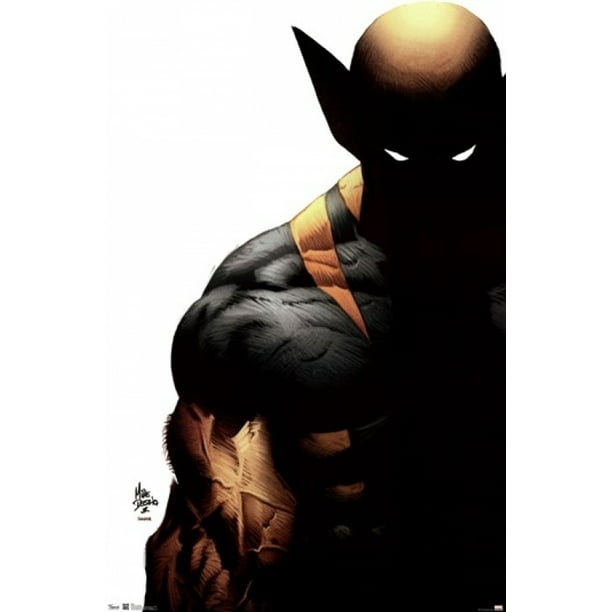 Wolverine - Shadow Laminated Poster Print (24 x 36) - Walmart.com ...