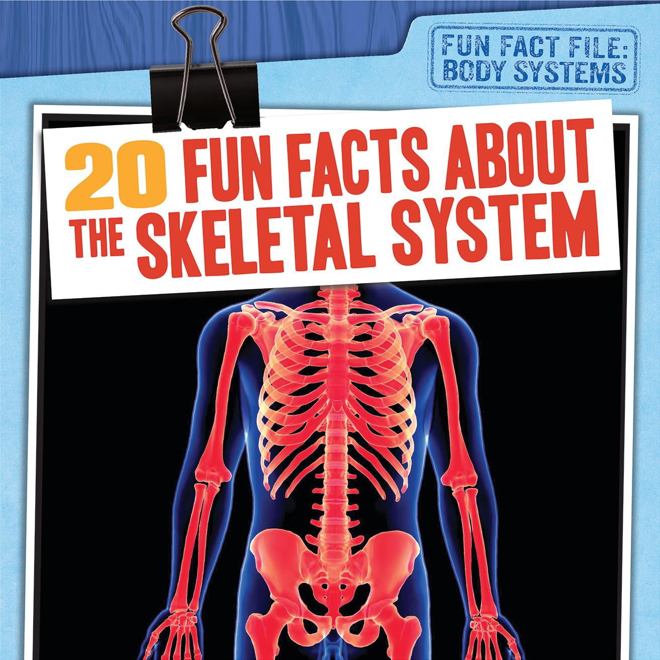 20 Fun Facts About The Skeletal System Walmart 20 Fun Facts About The Skeletal System Walmart