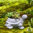 Tongina Turtle Planter Pot Flower Pot Creative Tabletop Resin Flowerpot ...