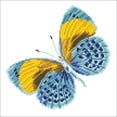 Diamond Dotz Flutter by Gold Butterflies Diamond Painting Kits for ...