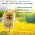 Rx Vitamins Essentials for Dogs - Daily Dog Multivitamin Powder - with ...