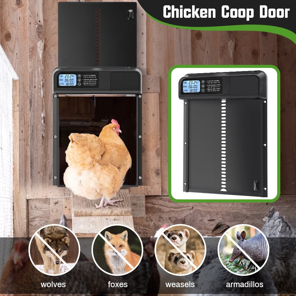 Automatic Chicken Coop Door, Aluminum Weatherproof Auto Chicken Coop ...