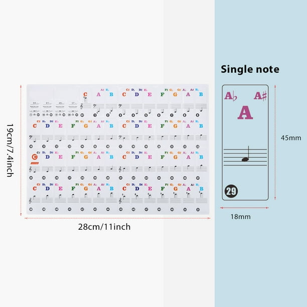 Piano Keyboard Sticker, High Performance Excellent Effect Durable PVC ...