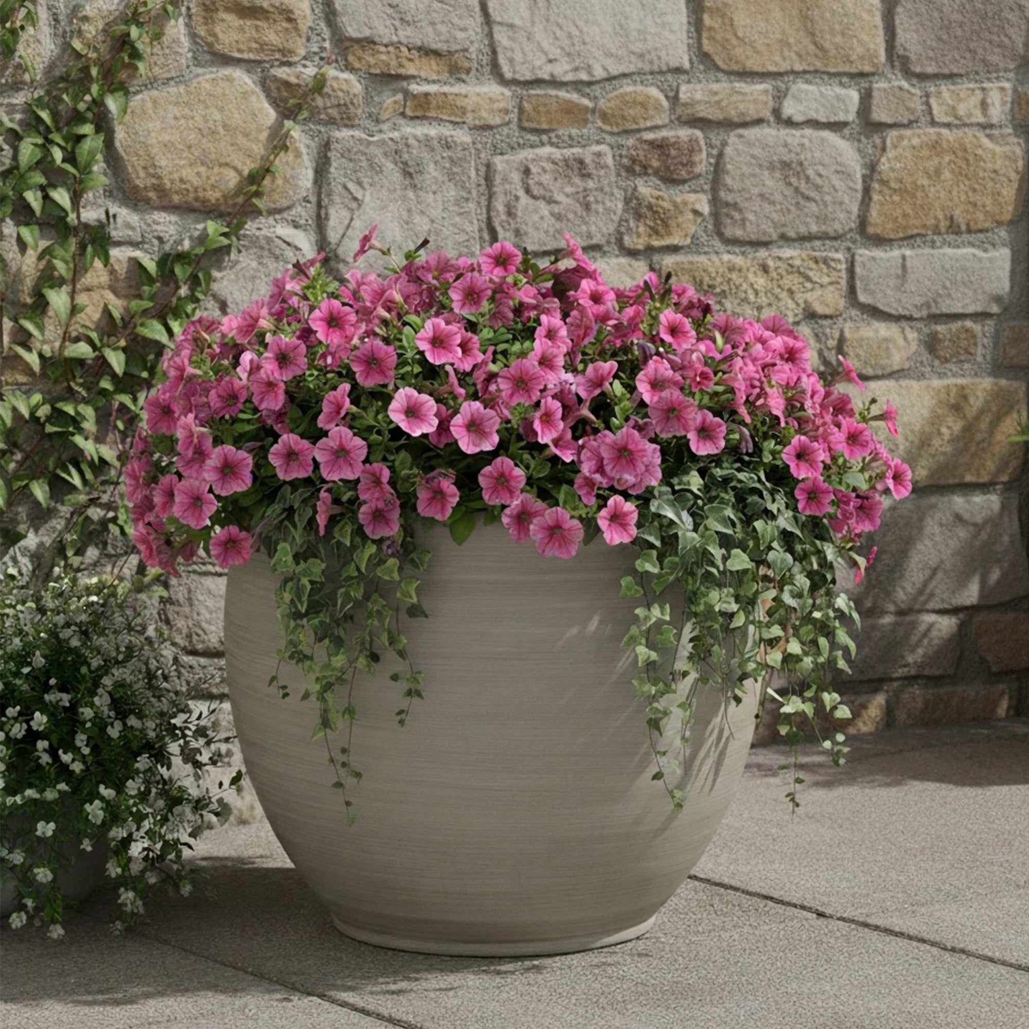 Click here for Mainstays 20in Resin Planter  Birch Grey 20 In prices