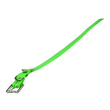 Dogtra Extra Dog Collar Strap, Green, 3/4" x 32" - Walmart.com