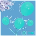 iTi Direct Adult Decoration Balloons with matching color ribbon, Latex ...