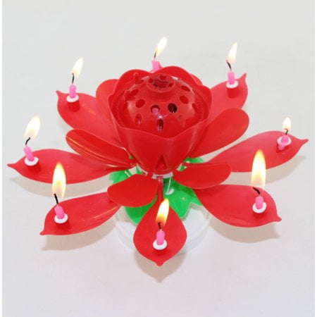 Birthday Cake Flower Candles with Happy Birthday Music Rotating Setup ...