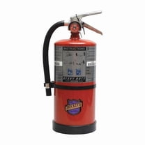 Buckeye Fire Equipment Red Steel Fire Extinguisher, ABC 12120, 20lb ...
