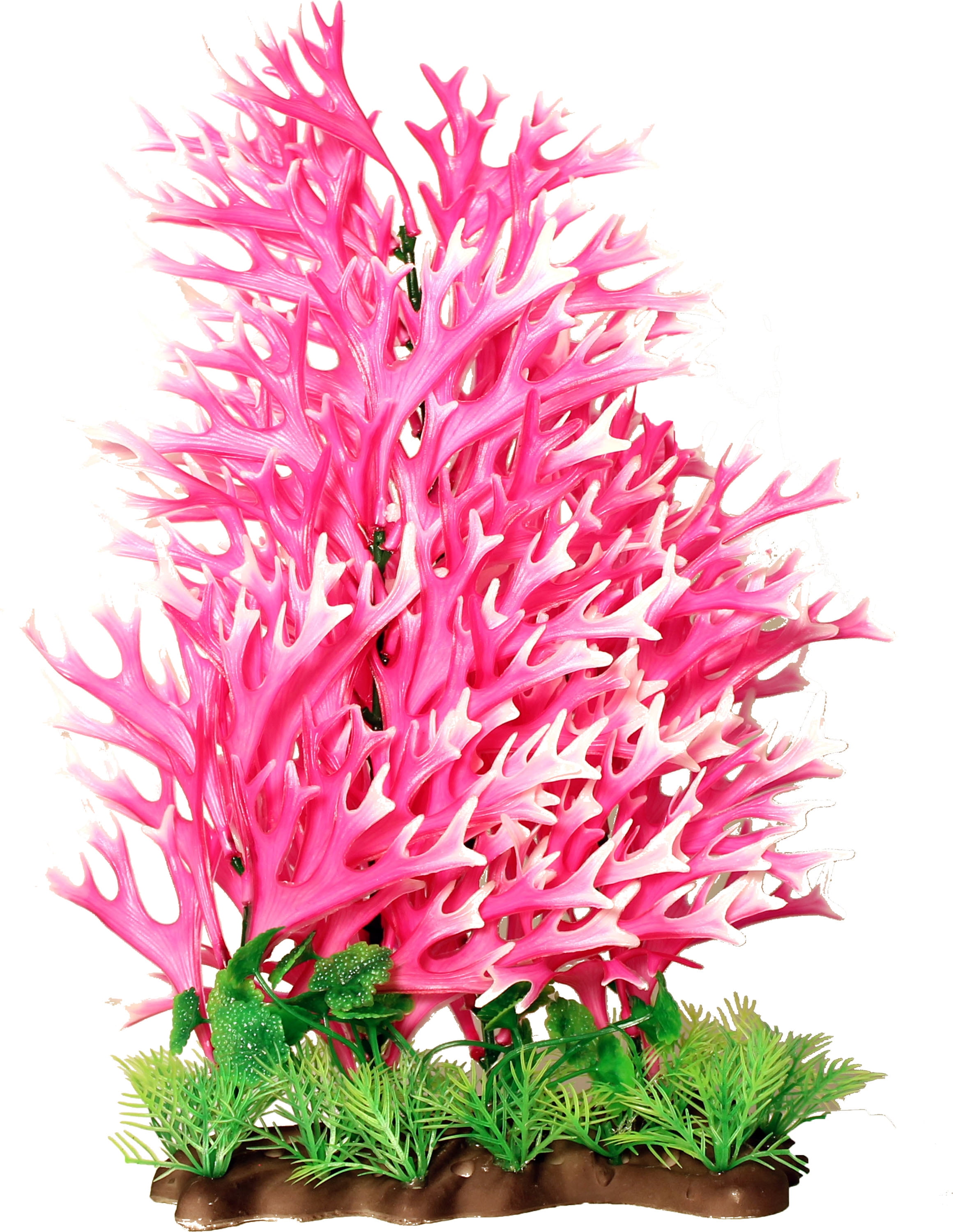 Sea Fern Aquarium Plant - Walmart.com