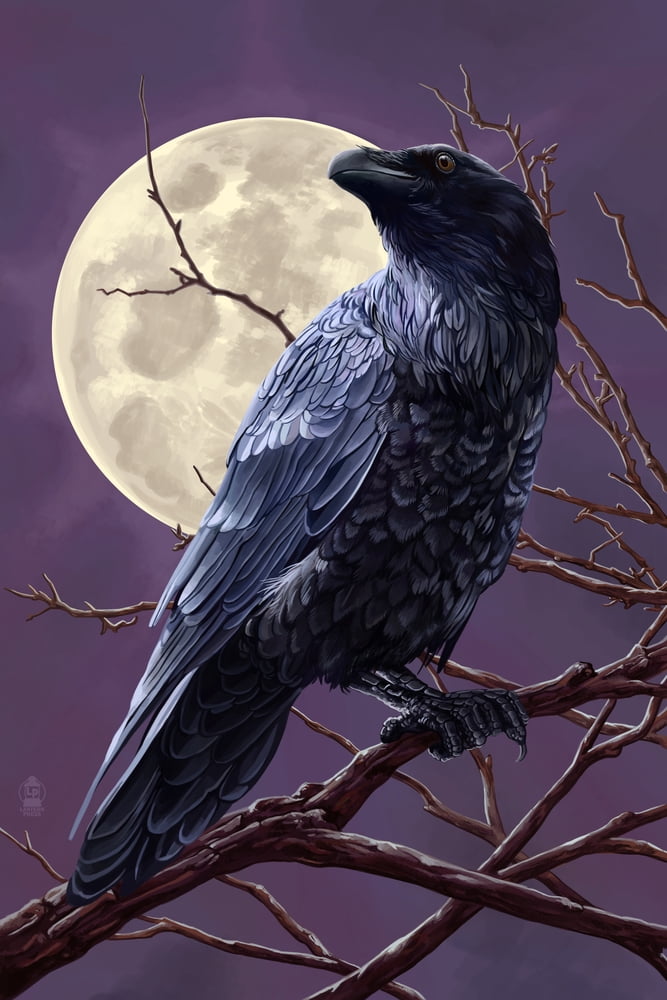 Raven and Moon at Night (12x18 Wall Art Poster, Room Decor) - Walmart.com