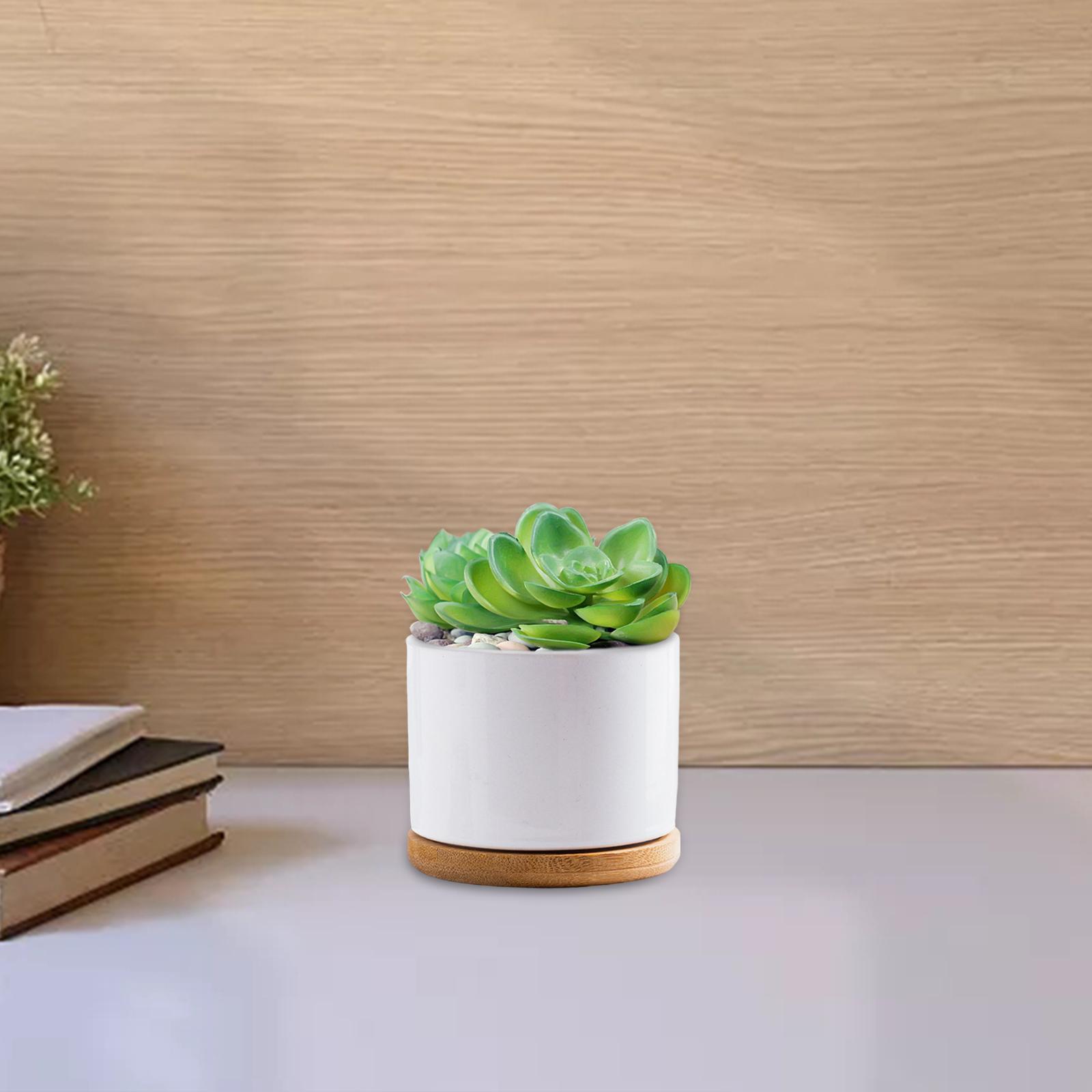 Modern Ceramic Flower Pot with Saucer,Table Indoor Outdoor Bonsai ...