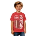 Boy's 250 Years of Freedom T-Shirt, Vintage Washed USA Flag Graphic ...