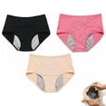 Akiihool Womens Underwear Seamless Brief Womens Plus Size Underwear