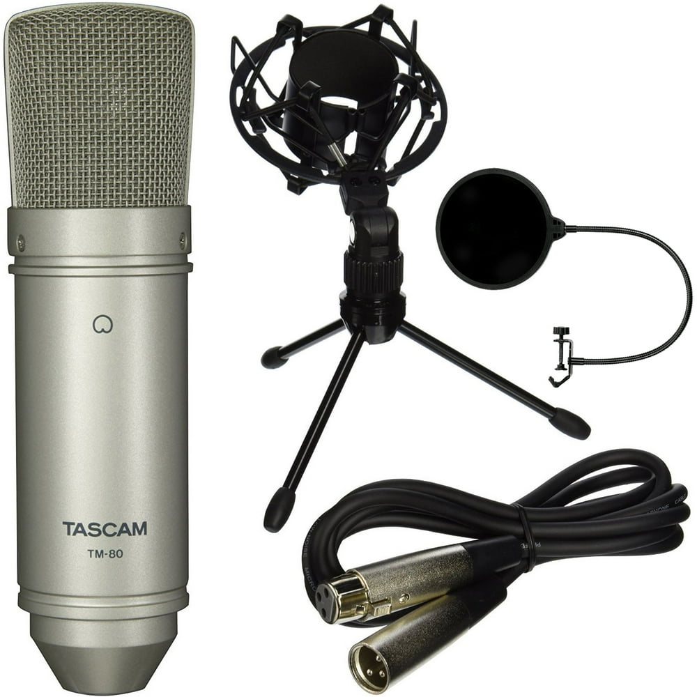 Tascam TM-80 Large Diaphragm Condenser Studio Microphone w/ Pop Filter ...