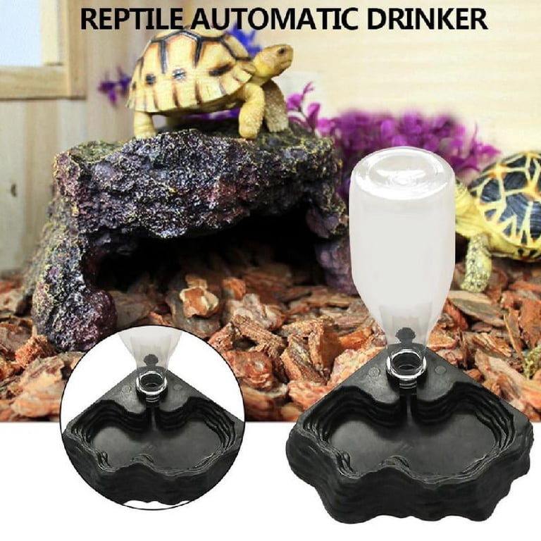 Reptile Care Accessory 2-in-1 Reptile Feeder & Water Dispenser ...