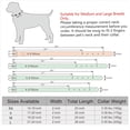 Rhinestones Dog Collars - 2" Width with 5 Rows Full Sparkly Crystal ...
