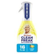 Mr. Clean Telescopic Cobweb Duster - Walmart.com