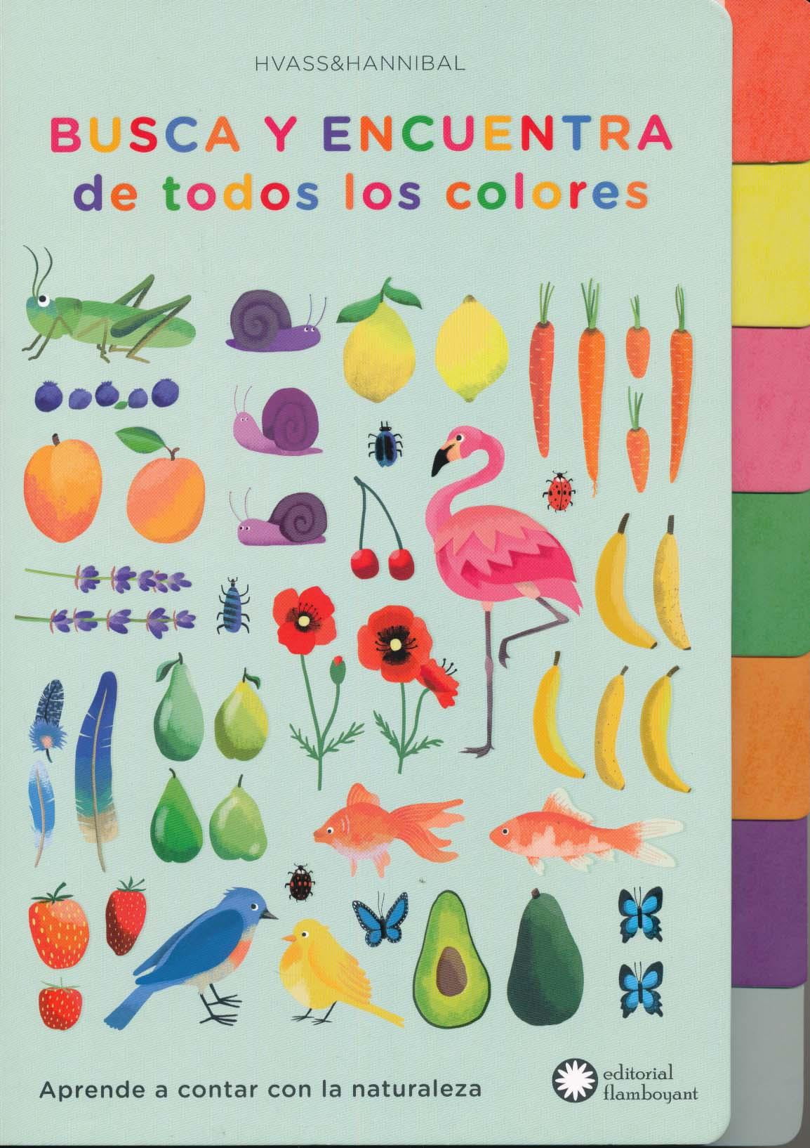 Busca Y Encuentra de Todos Los Colores (Board book) - Walmart.com