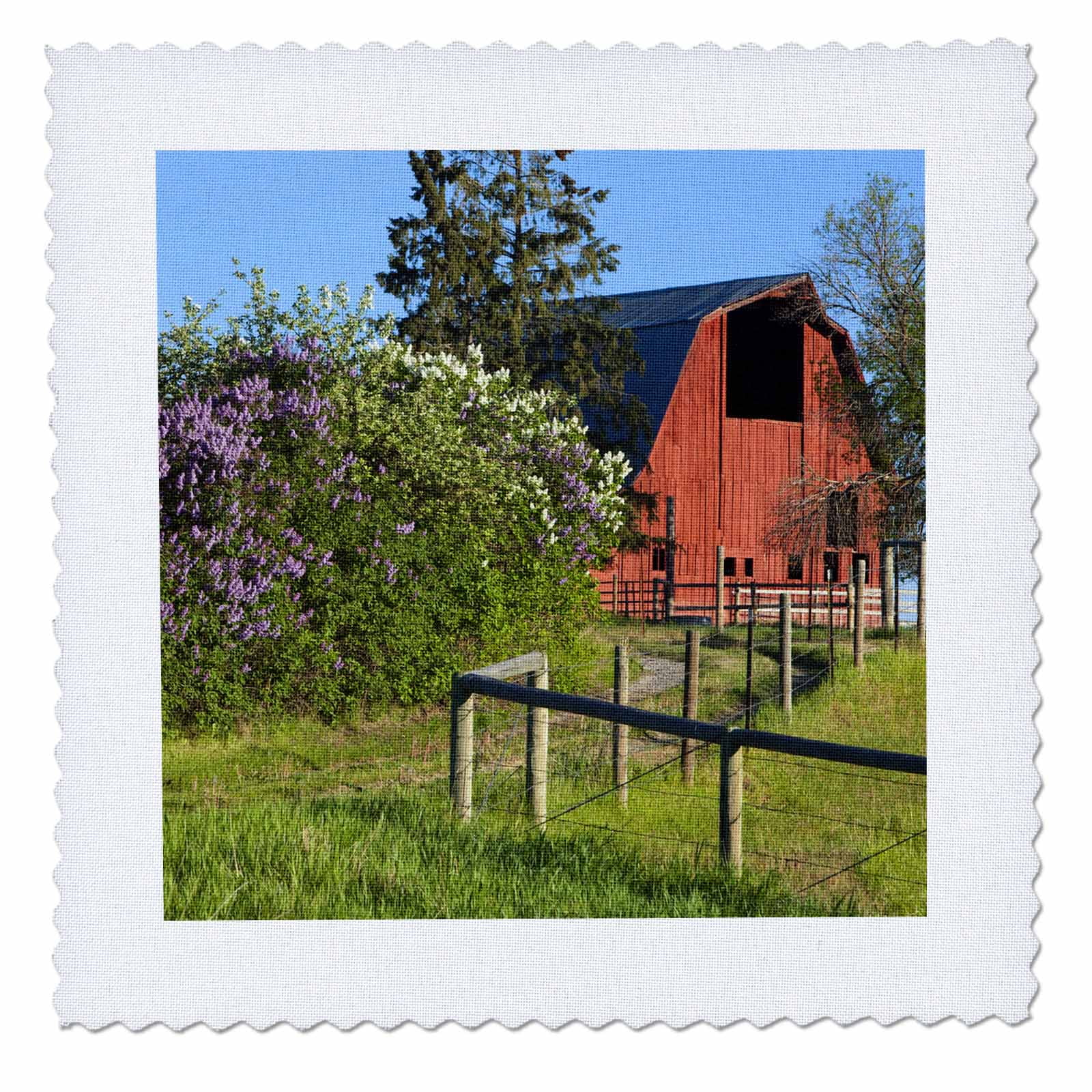 3dRose Lilac bushes, magpies, red barn, Ronan, Montana - US27 CHA1907 ...