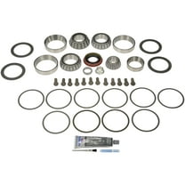 Dorman 697-031 Rear Differential Bearing Kit for Specific Ford Models ...
