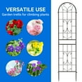 Dextrus Metal Garden Arch Trellises 2 Pack Black Rust-Resistant Patio ...