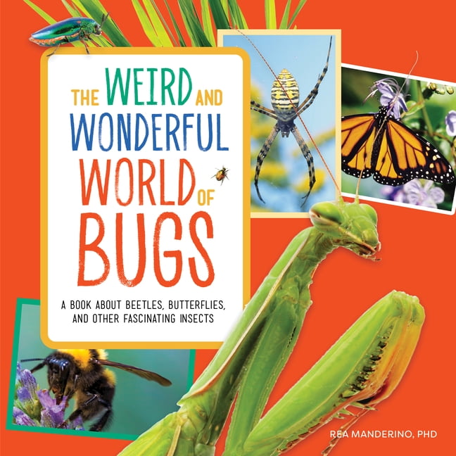 The Weird and Wonderful World of Bugs : A Book about Beetles ...