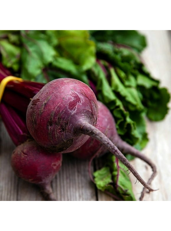 Beet Seeds in Seed Gardening - Walmart.com