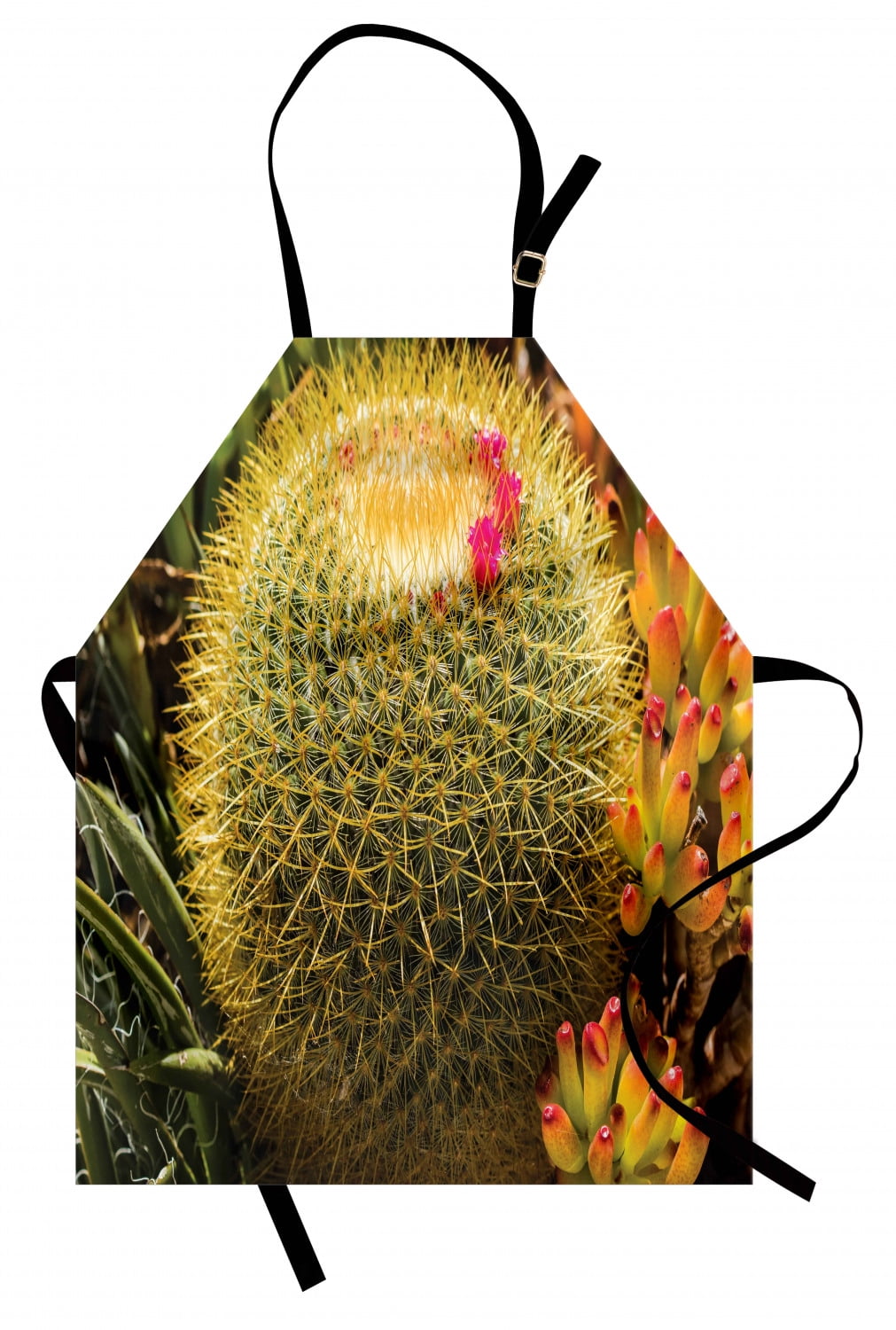 Cactus Apron Photo of Cactus Plant Flower with Spike Botanical Desert ...