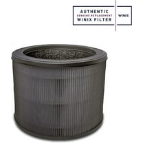 Genuine Winix 116130 Replacement Filter H for 5500-2 Air Purifier, 1 ...