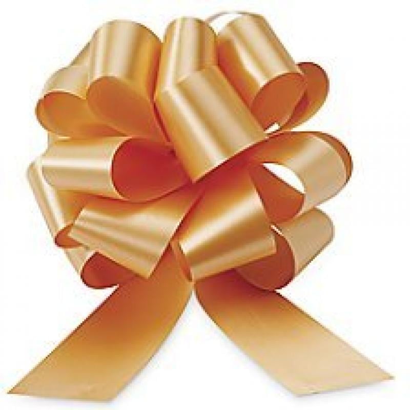 Champagne Pull String Bows - 5.5" Wide 20 Loops (1 & 7/8" Ribbon) Set ...