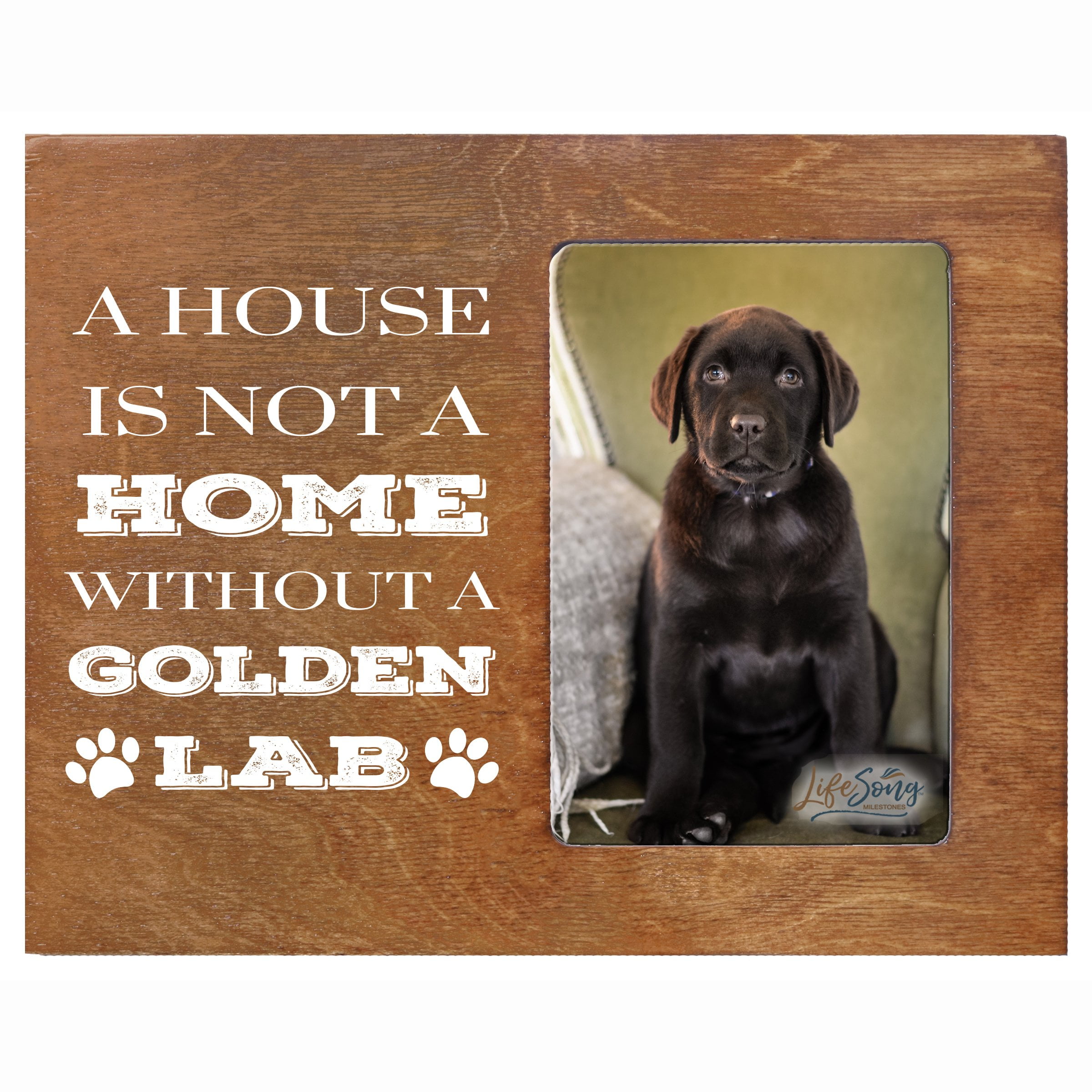 Printed Labrador Retriever Photo Frames - A House Golden Lab - Walmart.com