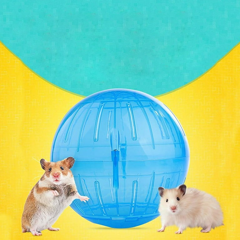 Dwarf Hamster Ball