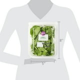 Marketside Organic Baby Spinach Salad, 5 oz Clam Shell, Fresh - Walmart.com