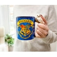 Silver Buffalo Harry Potter Hogwarts Crest Ceramic Mug, Sculpted Owl ...