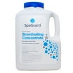 SpaGuard Stain and Scale Control (1 qt) (3 Pack) - Walmart.com