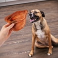 (3 pack) Ol' Roy Natural Jumbo Pig Ear Chew for Dogs, 1 Count, 1.2 oz ...