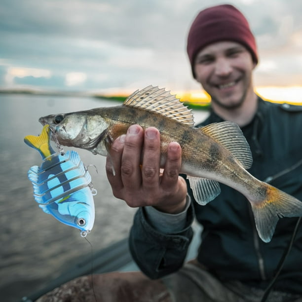 Fish Lure,Bionic Multiple Segments Bait Bionic Fish Bait Multiple ...