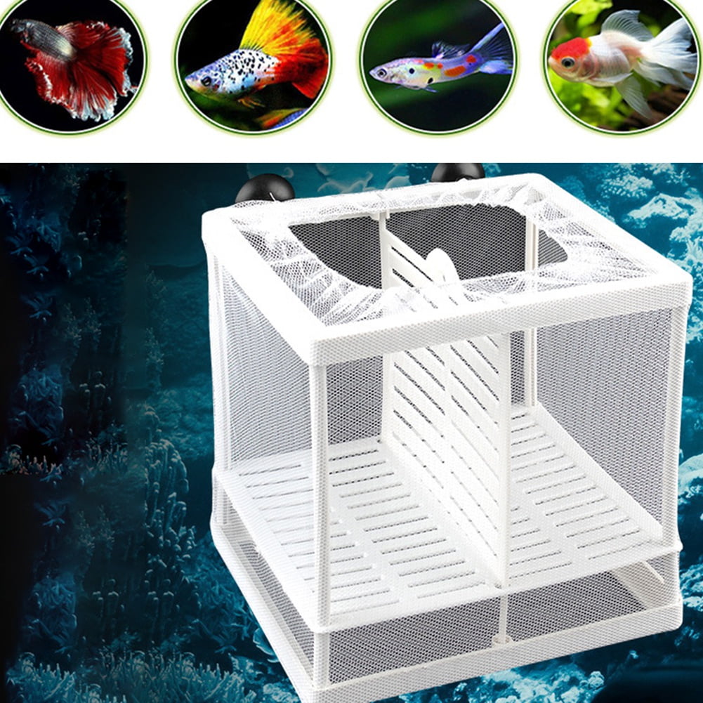 Aquarium Fish Breeding Breeder Box Baby Fish Hatchery Isolation Net ...