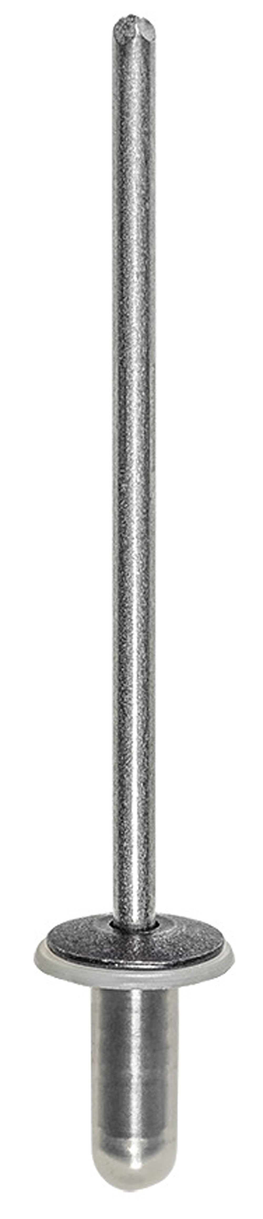 Clipsandfasteners Inc 25 Specialty Rivets with Plastic Cap Compatible ...