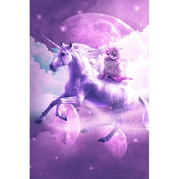 Laminated Meme Cat Riding On Flying Outer Space Rainbow Unicorn Random ...