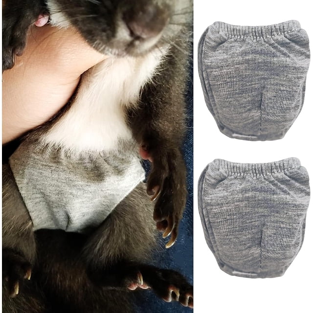 Set Sanitary Pantie for Hamster,Reusable Washable Squirrel Diapers ...