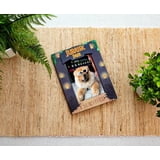 Jurassic Park 'I Survived' Die-Cut Photo Frame | Holds 4 x 6 Inch ...