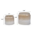 Set of 2 Gradient Ceramic Flowerpot, Modern Planter for Patio, Garden ...