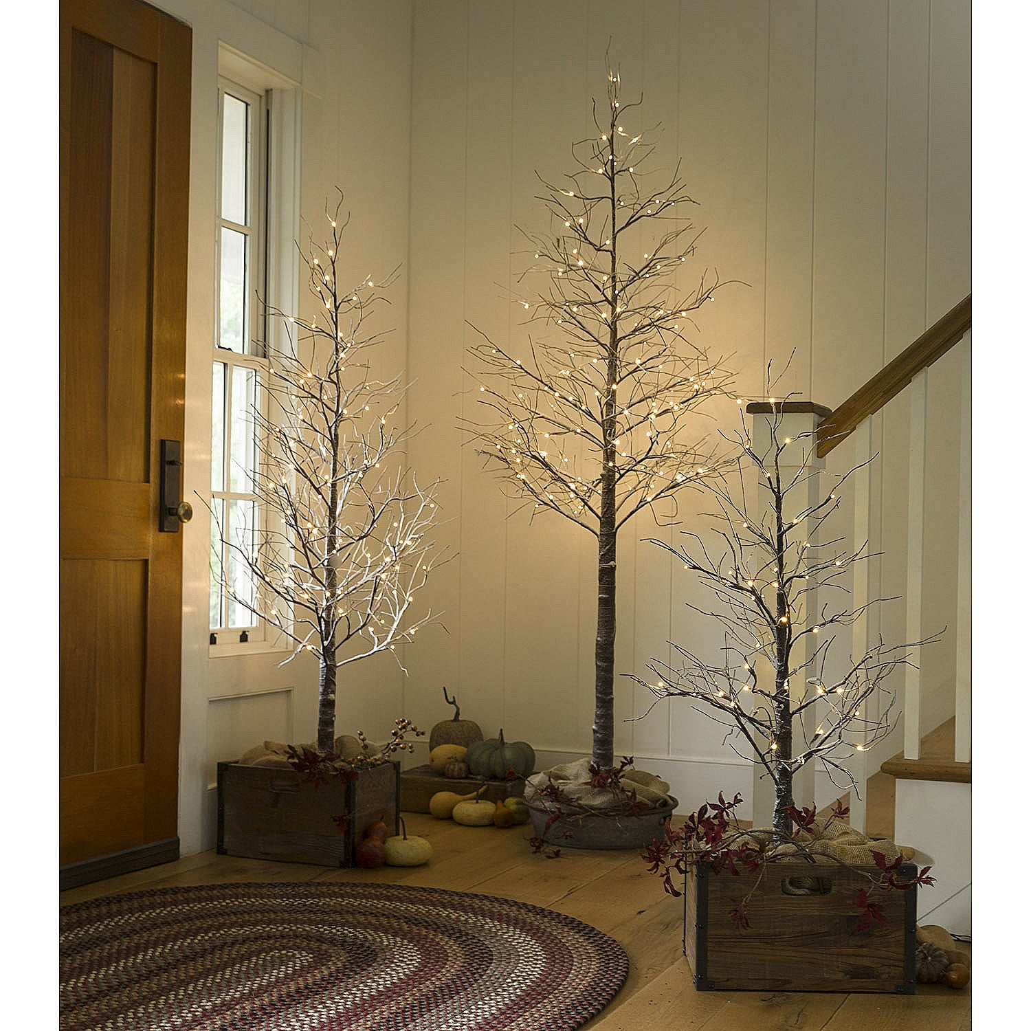 Evergreen Indoor/Outdoor Snowy Lighted Tree with 48 Lights, 4'H ...