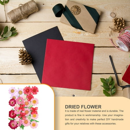 Dried Flowers Set Making Tools Multipurpose Real Flower Decal Labels ...