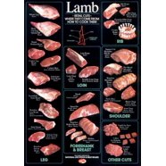 Angus Beef Chart Meat Cuts Diagram Poster 11in x 17in Mini Poster 11 x ...