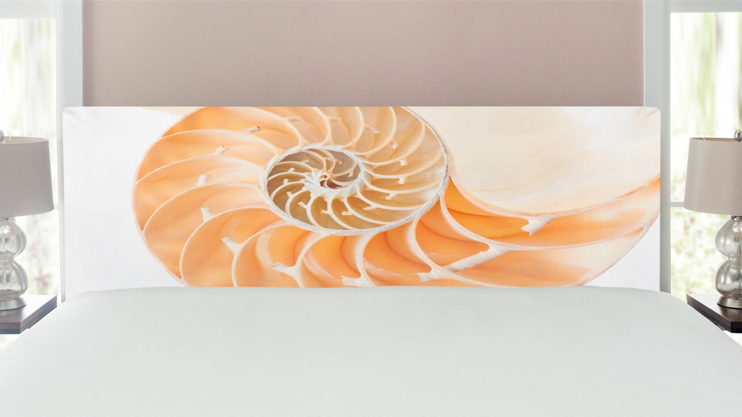 Geometry Headboard, Nautilus Shell Showing the Chambers in Distance ...