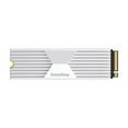 GameStop NVMe SSD Card 2TB with Heatsink for PlayStation 5 | PC ...