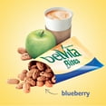 belVita Bites Blueberry Mini Breakfast Biscuits, 5 Packs - Walmart.com