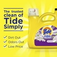 Tide Simply Clean & Fresh Berry Blossom Liquid Laundry Detergent, 2X ...
